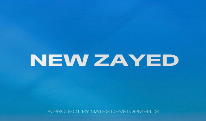 Lugar New Zayed - Pioneer Property