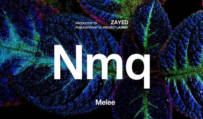 Nmq El Sheikh Zayed Compound - Pioneer Property