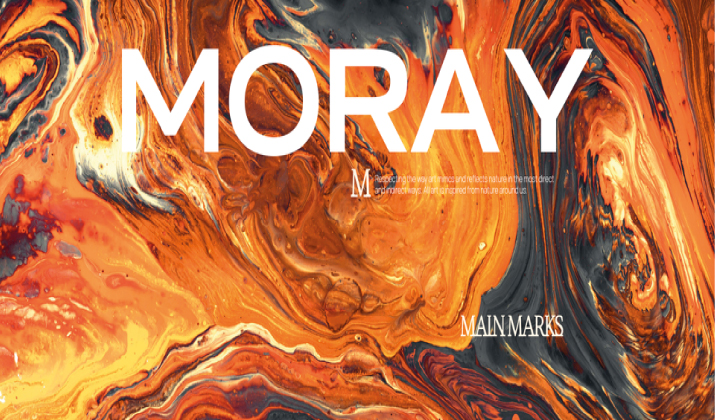 Moray New Cairo Mall - Pioneer Property