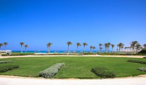 Caesar Sodic North Coast Village - Pioneer Property - Sodic
